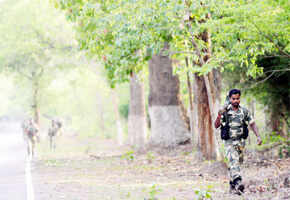 Darbha Ghati massacre: NIA questions Maoists