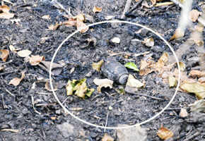 Darbha Ghati massacre: Ch'garh minister admits prior warnings