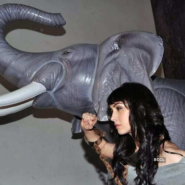 Lauren Gottlieb poses for the cameras during a protest for PETA's anti ...