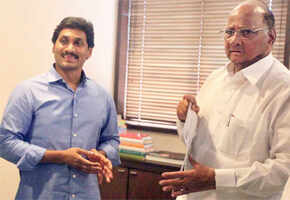 Jagan Reddy meets Sharad Pawar to stop Andhra bifurcation