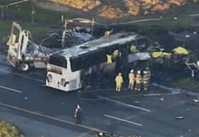 Northern California bus crash kills at least 9