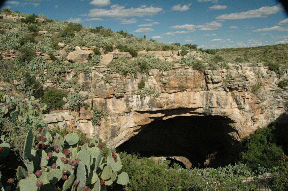 Cave of Swallows BASE Jump, Mexico - TimesTravel
