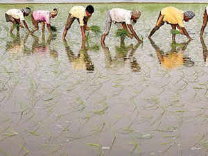 Kisan TV channel to be launched soon: FM