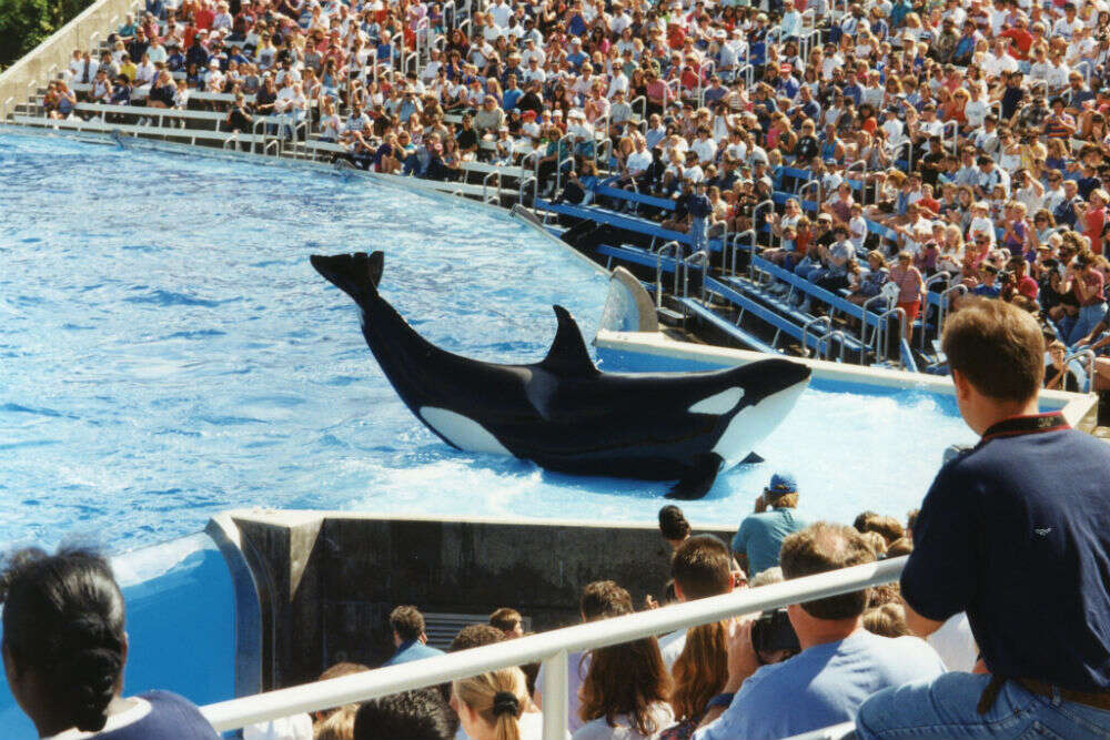 SeaWorld San Diego, San Diego - TimesTravel