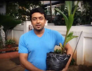 Suriya takes up ‘My Tree Challenge’