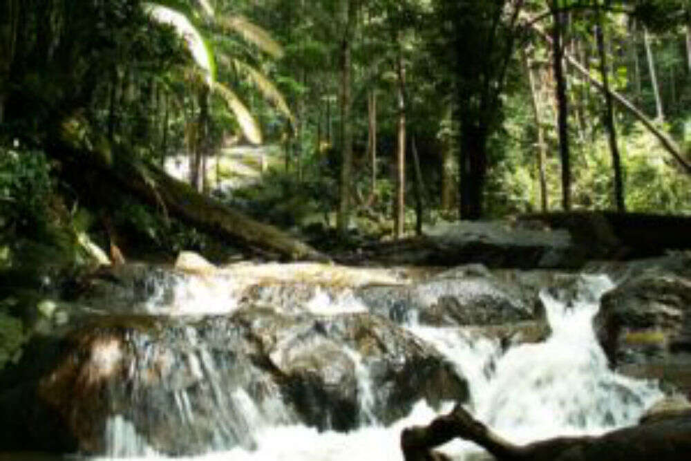 Kanching Rainforest Waterfalls, Kuala Lumpur - TimesTravel