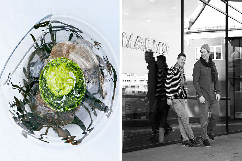 Maaemo, Oslo - TimesTravel