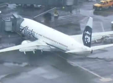 Alaska Airlines flight returns after worker trapped in cargo hold