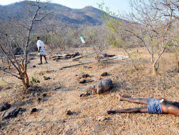 Chittoor encounter case: AP govt submits first autopsy report to HC