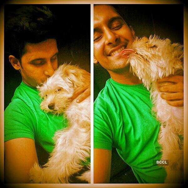 TV stars and their darling pets