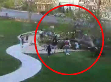 Caught on camera: Tree falls on kids playing in park