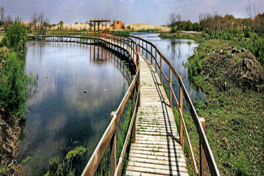 Azraq Wetland Reserve, Jordan - TimesTravel