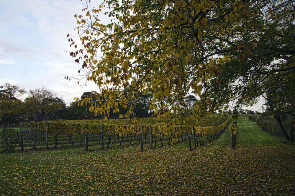 The Briars, Melbourne - TimesTravel