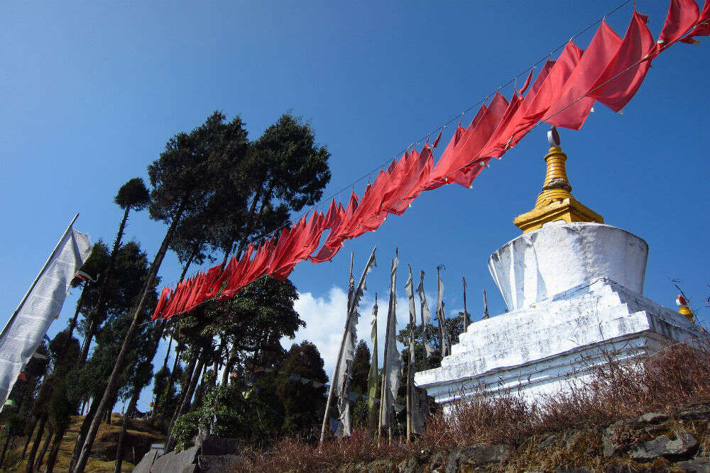 Pelling, Pelling - TimesTravel