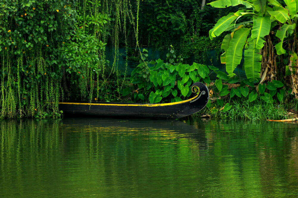 Alleppey Backwaters, Alleppey - TimesTravel