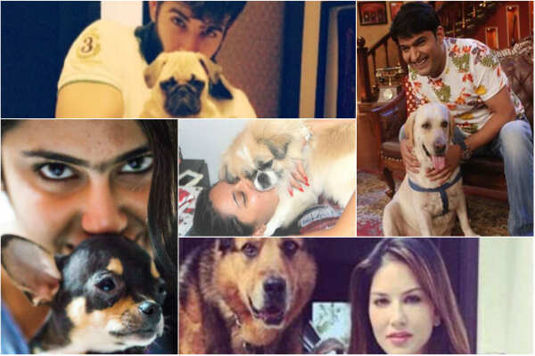 TV stars and their darling pets