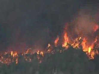Large brush fire burns in Miami