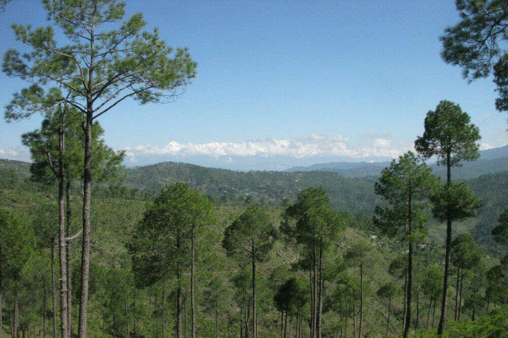 Almora, Almora - TimesTravel