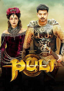 Puli