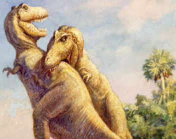 66m yrs on, study reveals Tyrannosaurs rex was a cannibal
