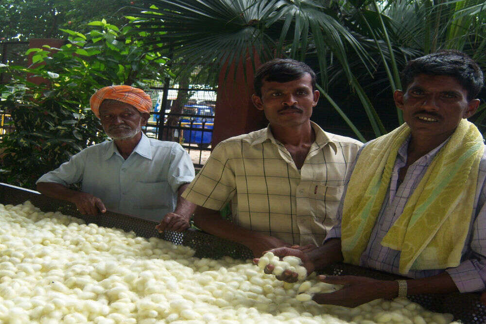 Visit the Government Silk Weaving Factory, Mysore - TimesTravel
