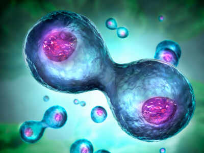 Healthy or sick? These tiny cell bubbles can tell you