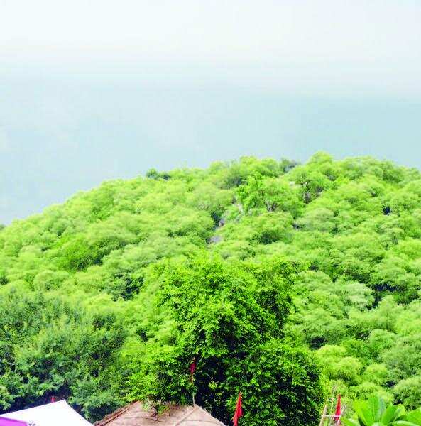 Proposal for Mangar Bani forest demarcation
