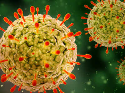 Antibody therapy found promising against MERS virus