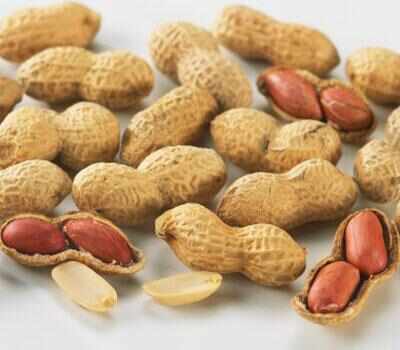Peanut had its origin in Bolivia: Icrisat scientist part of groundnut ...