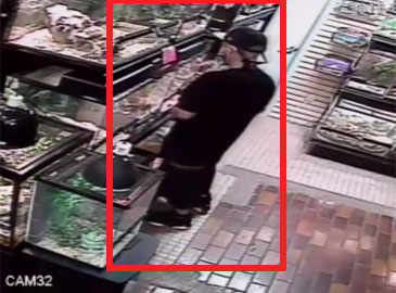 On cam: Man tries to steal python, gets caught