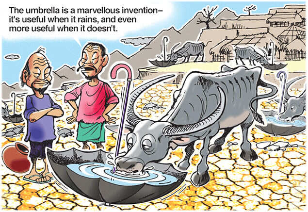 Umbrella in drought!