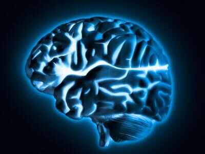 New technique lets you capture entire brain's activity in a snapshot