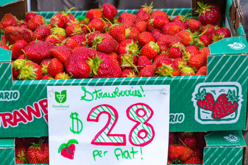 Calgary Farmers’ Market, Calgary - TimesTravel