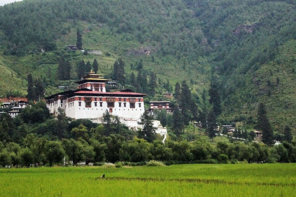 Thimphu Thimphu Timestravel