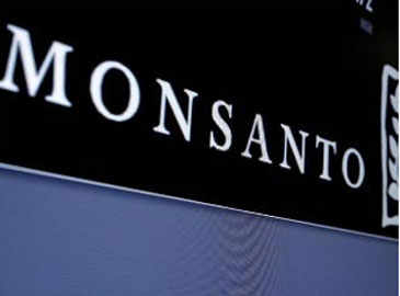 Monsanto pulls GM Cotton seed from India