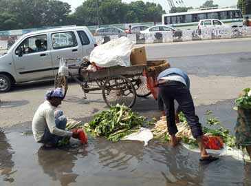 Watch: Vendor washes vegetables in stagnant dirty water