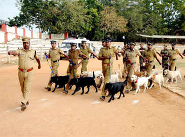 Watch: Kerala Police dog squad rehearses for Republic Day parade