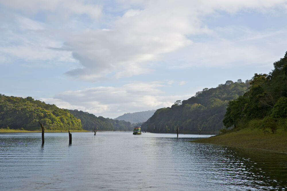 Periyar Lake, Thekkady - TimesTravel