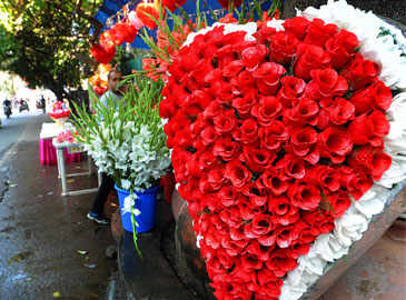 Who is your Valentine?