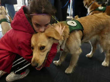 Newark airport hosts guide-dog training