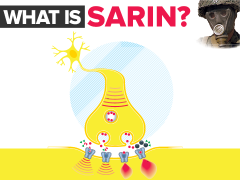 Infographic: Syria chemical attack: What makes sarin gas so deadly ...