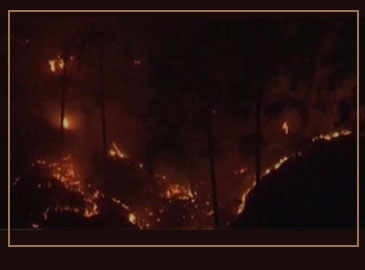Watch: Massive fire at J&K's Thanpal forest