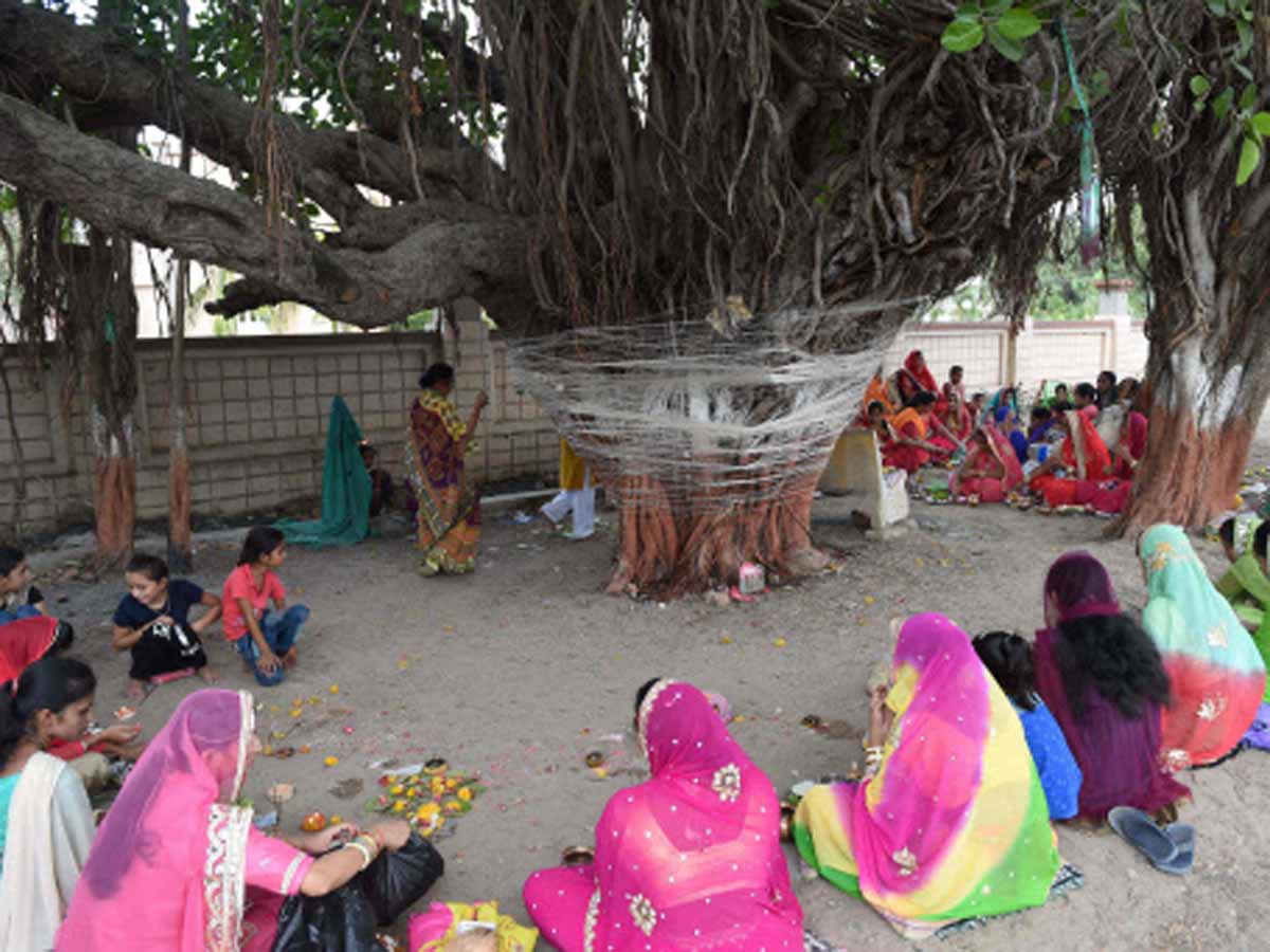 Watch: Women celebrate 'Vata Savitri' festival to pray for long life of ...