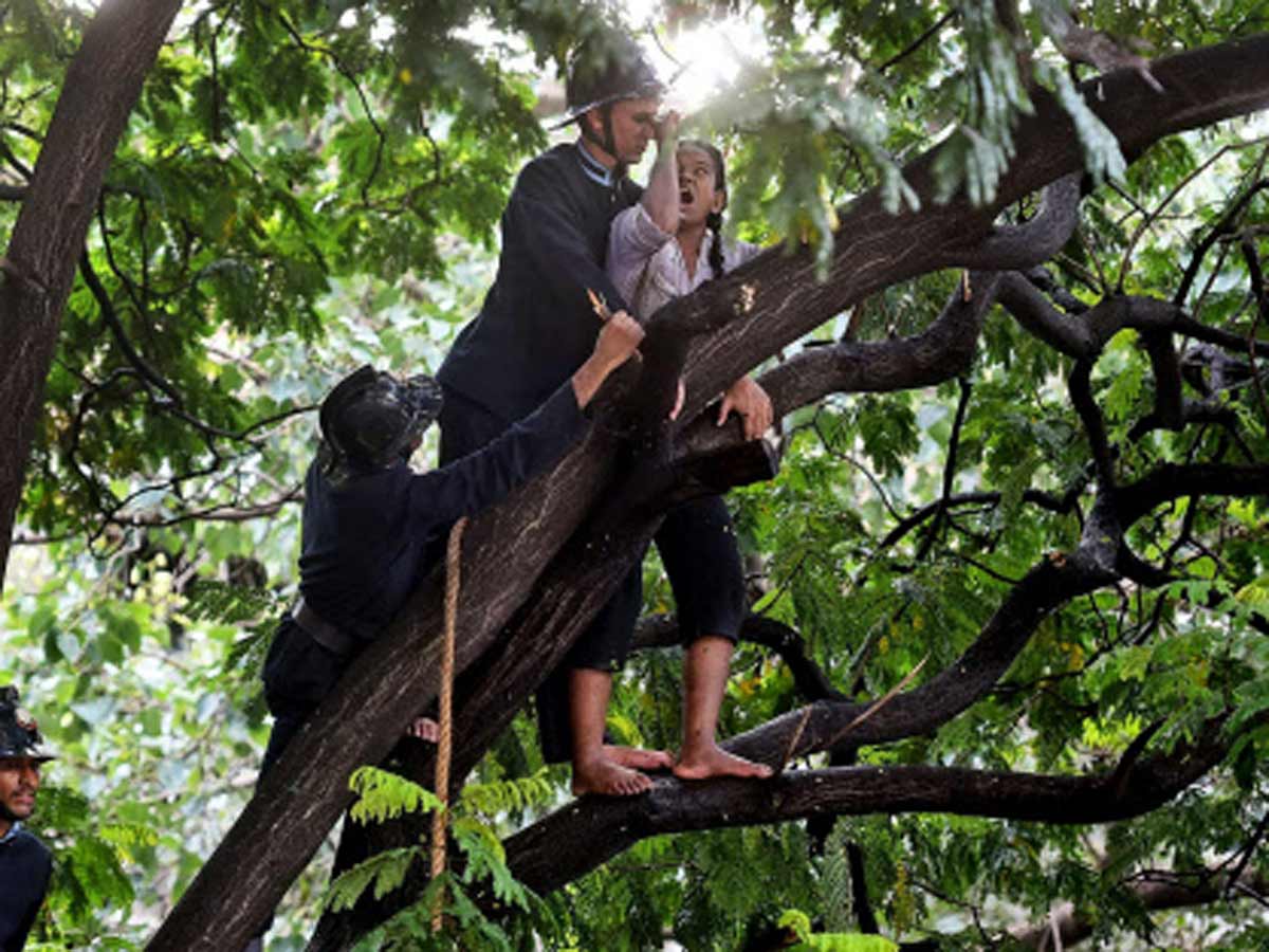 Mumbai: After high voltage drama, woman rescued from tree after 3 hours