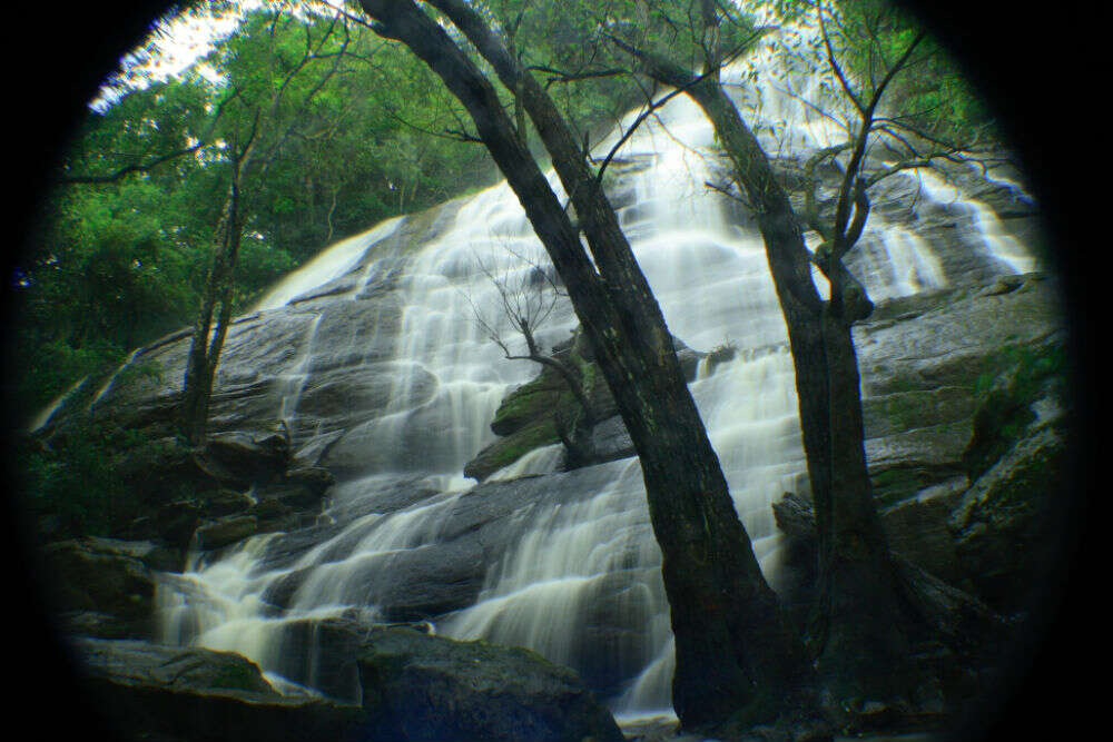 Kiliyur Falls, Yercaud - TimesTravel