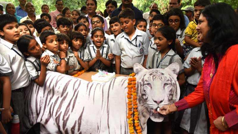 Delhi zoo celebrates white tiger Vijay’s birthday, kids cut cake