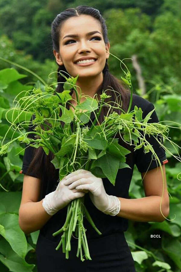 Fahsai Paweensuda crowned Miss Earth Thailand 2017