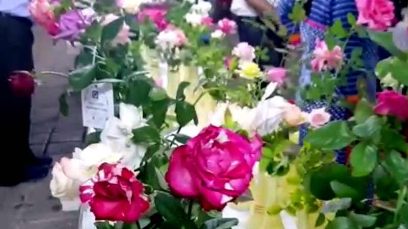 Rose exhibition in Pune attracts gardening enthusiasts