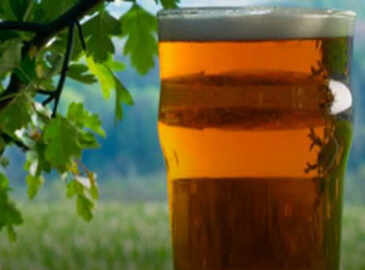 Watch: 7 reasons why beer is good for your health - Times Food