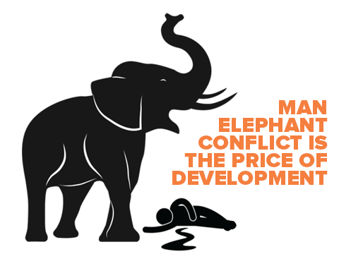Infographic: Man-elephant conflict takes more than 1 life a day - Times ...